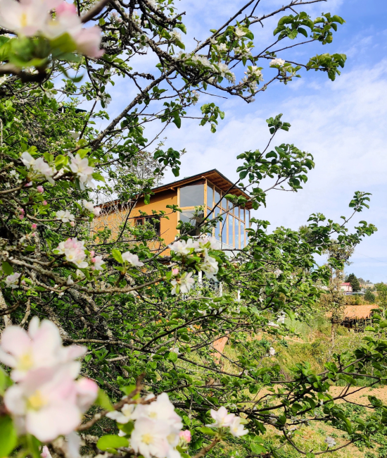 Cozy Mountain Retreat in Uttarakhand: Your Intimate Escape